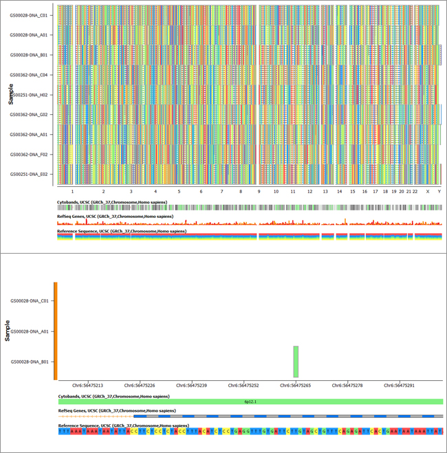What is Bioinformatic Filtering? | The Golden Helix Blog