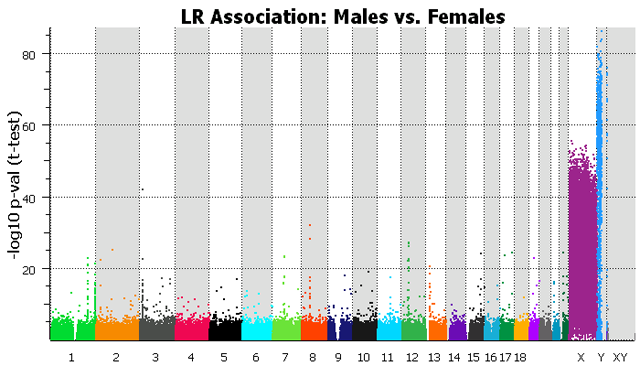 Why You Should Care About Segmental Duplications - The Golden Helix Blog