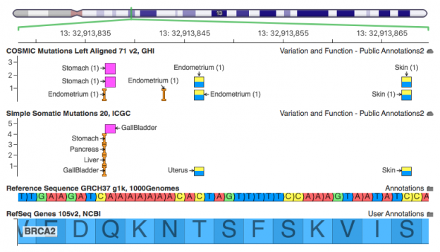 International Cancer Genome Consortium Database Now Available