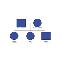 Customizing Workflows for Family Structure - The Golden Helix Blog