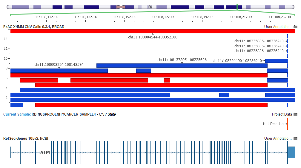 The First Large Scale Public Exome CNV Variant Set: ExAc CNVs