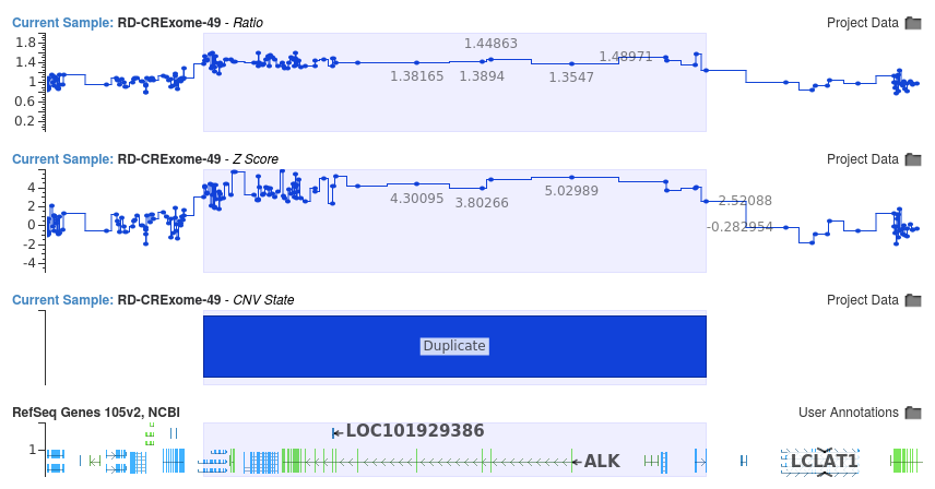 Example of CNV calls in VS-CNV - Secondary Analysis 2.0