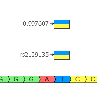 Using GRCh38 for Clinical Interpretation with our LiftOver Tracks