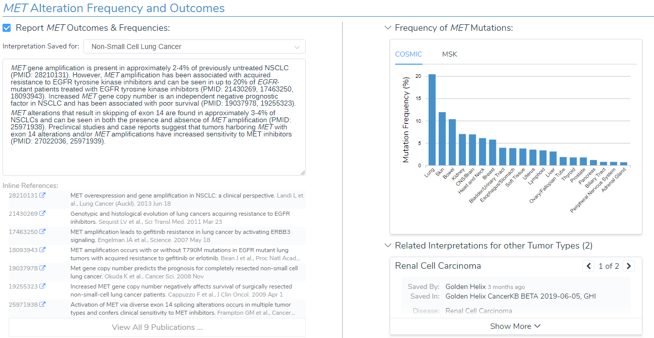 Non-Small Cell Lung Cancer: Variant Interpretation with VSClinical