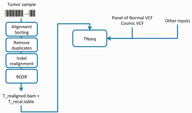 Tumor-Only Workflow: Somatic Variant Calling with Sentieon