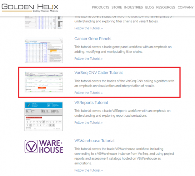 VarSeq Tutorial: Learn How to Build & Validate with the CNV Caller
