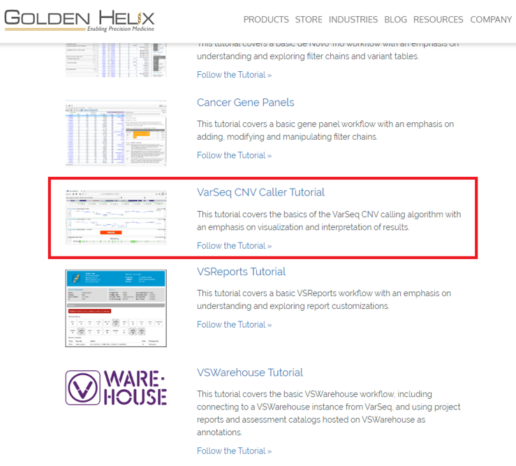 VarSeq Tutorial: Learn How to Build & Validate with the CNV Caller