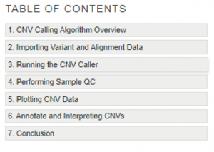 VarSeq Tutorial: Learn How to Build & Validate with the CNV Caller