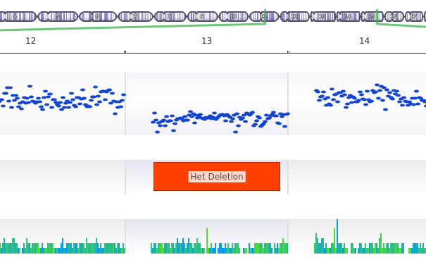 Exporting Genes as Exon Regions in VS-CNV - The Golden Helix Blog