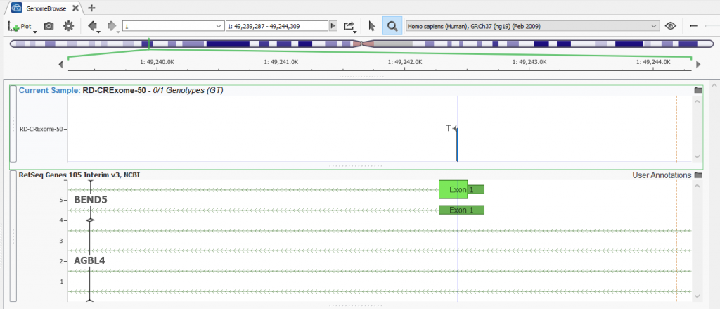 Preferred Transcripts for Clinical Interpretation in VSClinical