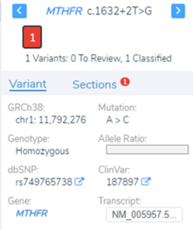 Loss-of-Function Splice Variant in MTHFR - The Golden Helix Blog