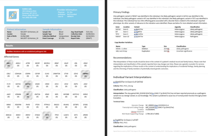 New VSClinical ACMG Word Report Templates - The Golden Helix Blog
