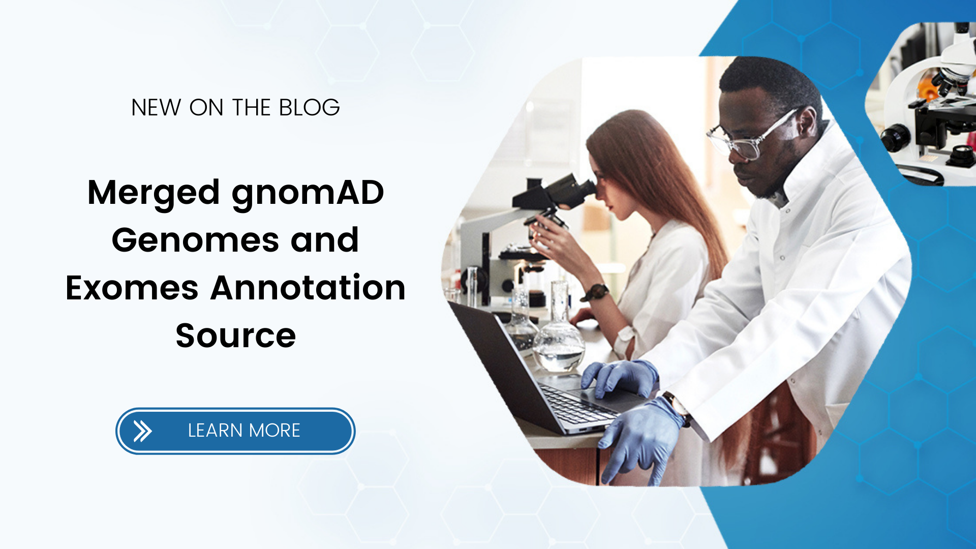 Merged gnomAD Genomes and Exomes Annotations
