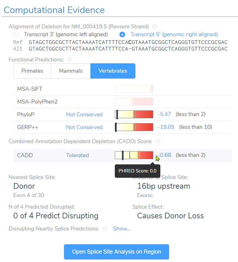 CADD in NGS Workflow: Considerations for Variant Analysis
