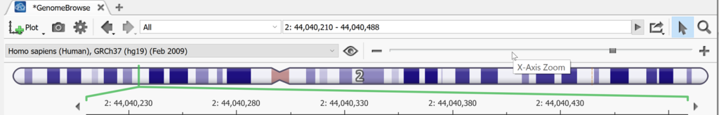 GenomeBrowse: Advanced Variant Visualization Techniques