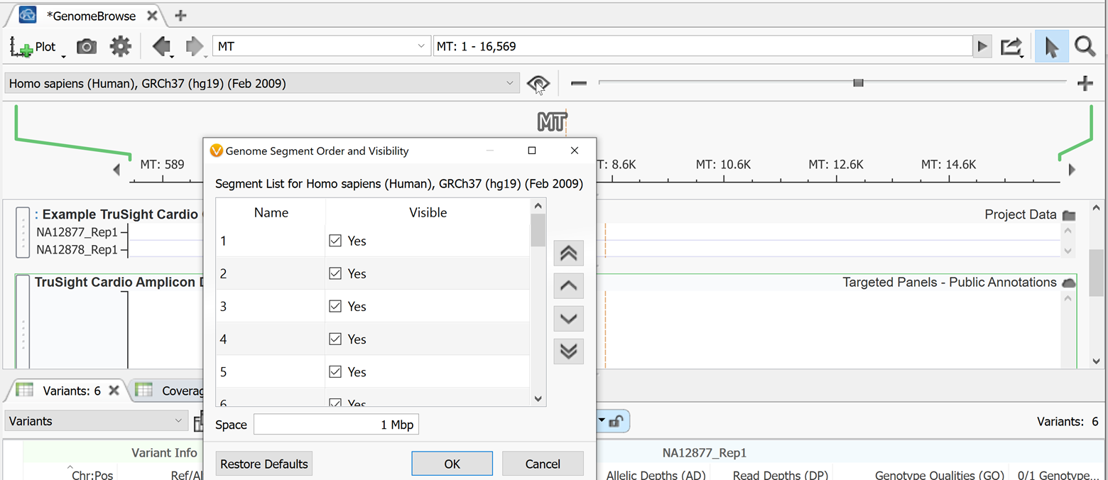 GenomeBrowse: Advanced Variant Visualization Techniques