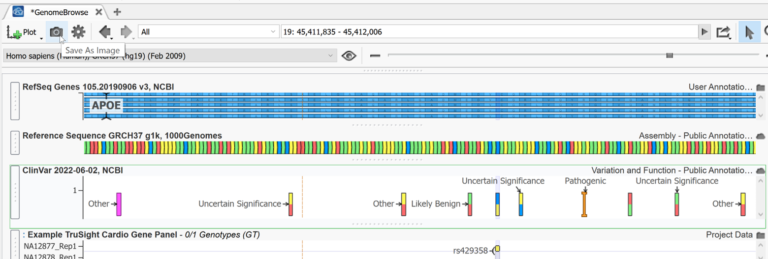 GenomeBrowse: Advanced Variant Visualization Techniques