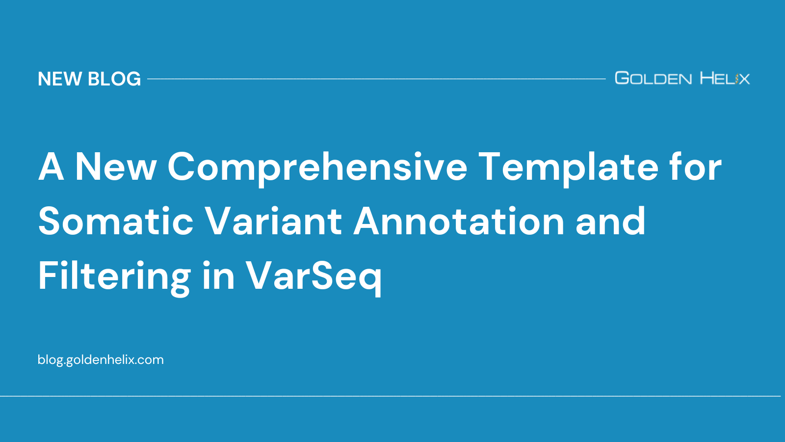 A New Template for Somatic Variant Annotation and Filtering
