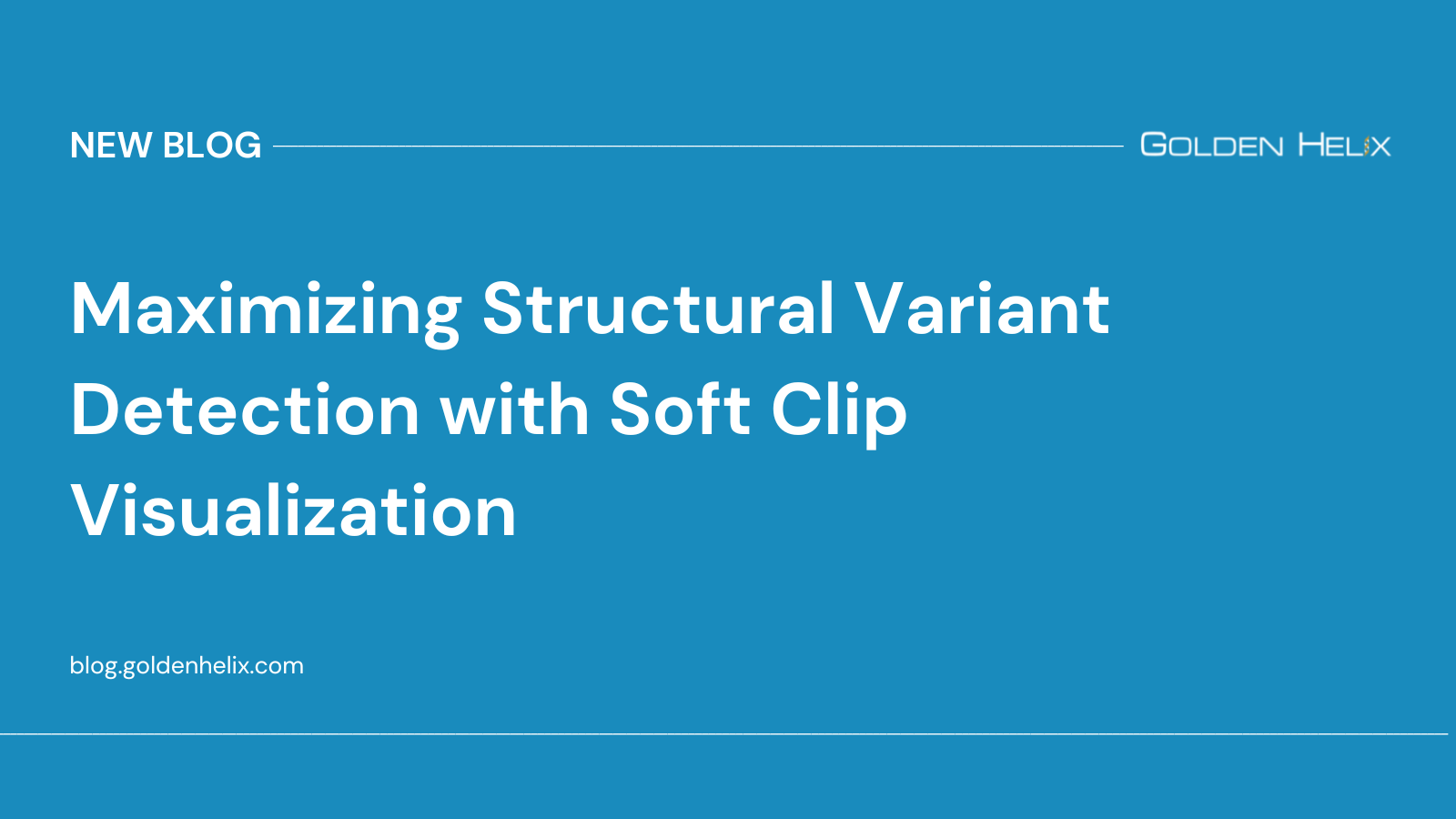 Maximizing Structural Variant Detection Visualizing Soft Clips