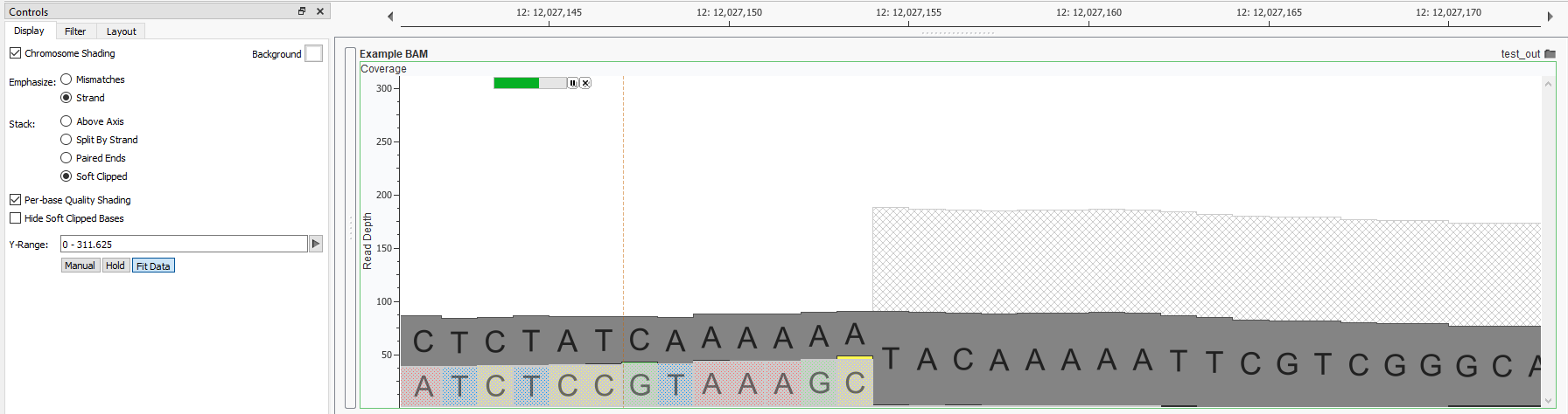 Maximizing Structural Variant Detection: Visualizing Soft Clips