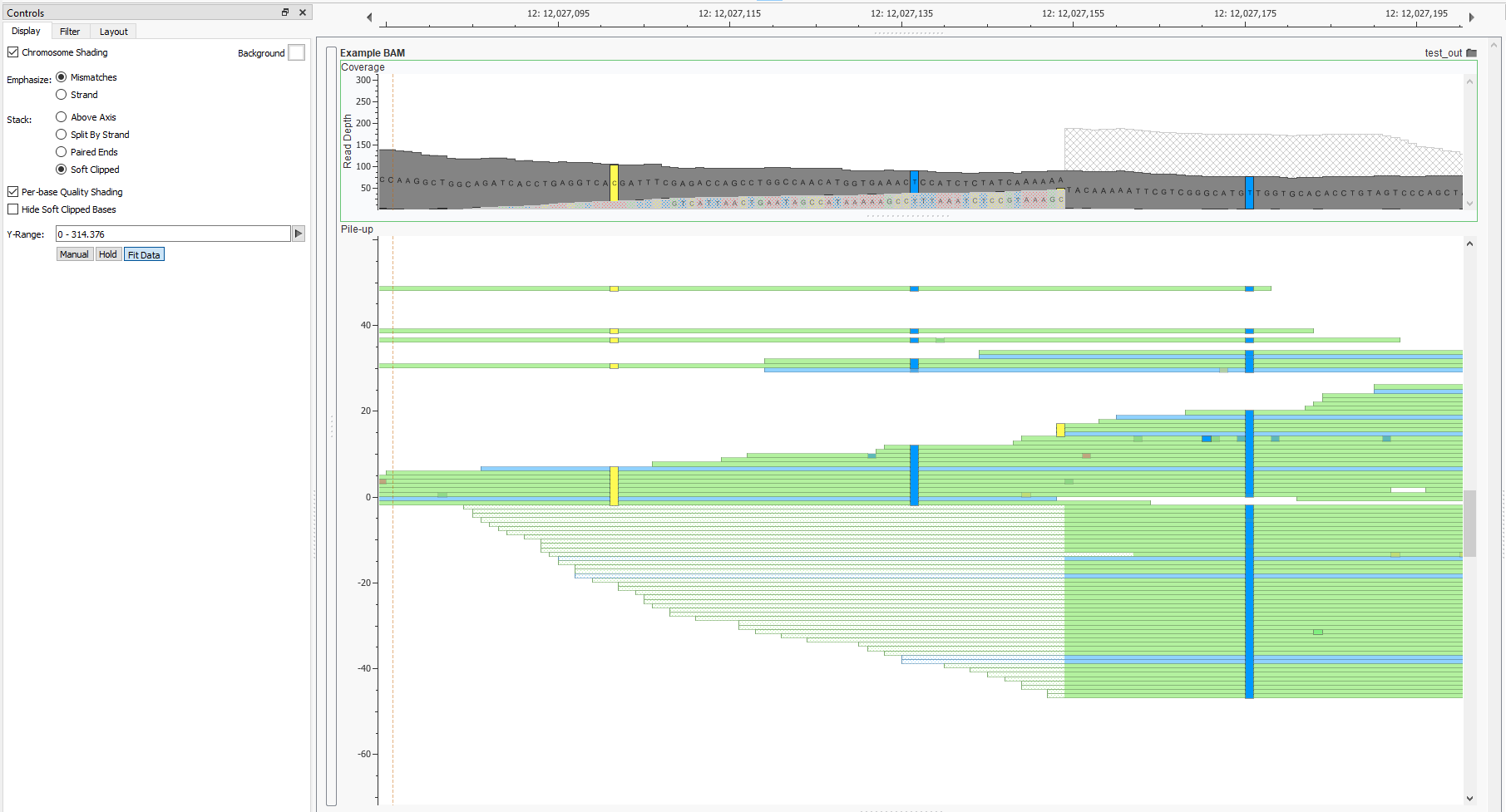 Maximizing Structural Variant Detection: Visualizing Soft Clips