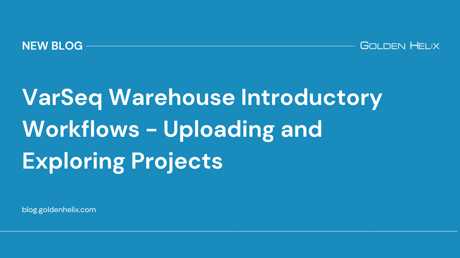 Varseq Warehouse Workflows Uploading And Exploring Projects
