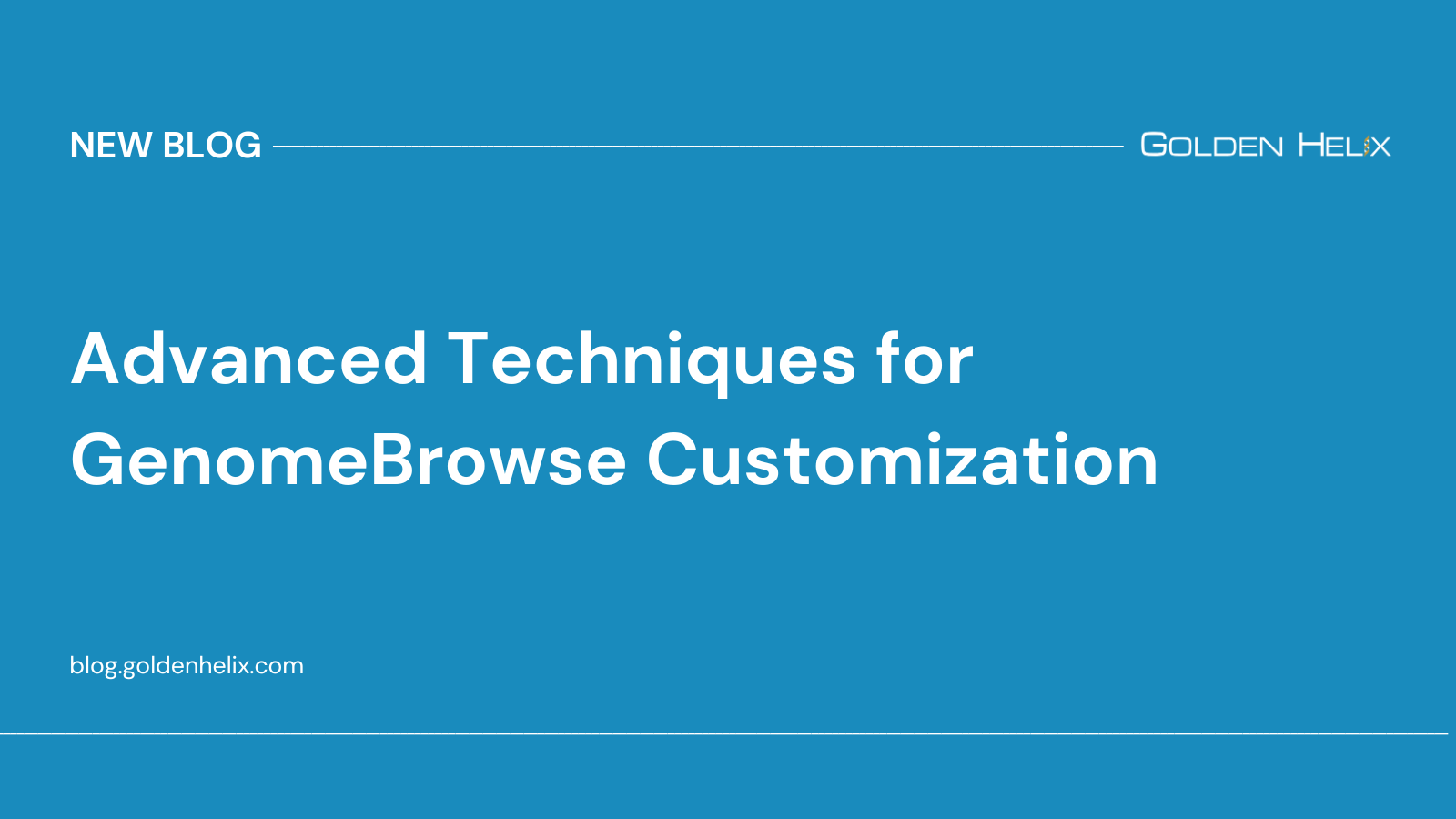 Advanced GenomeBrowse Customization: A Guide for Researchers