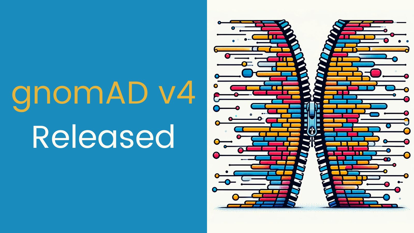 GnomAD v4 Released: Enhanced Data and Golden Helix Curation