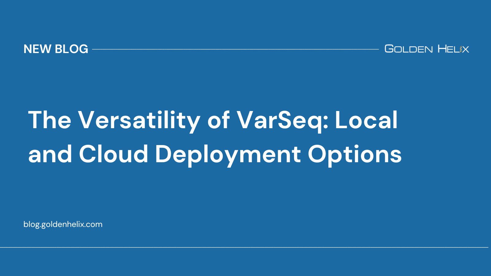 Local and Cloud Deployment Options With VarSeq