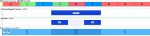 The Power of Phased Genotypes in Variant Analysis in VarSeq