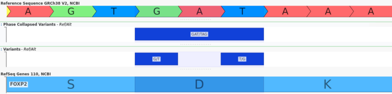 The Power of Phased Genotypes in Variant Analysis in VarSeq