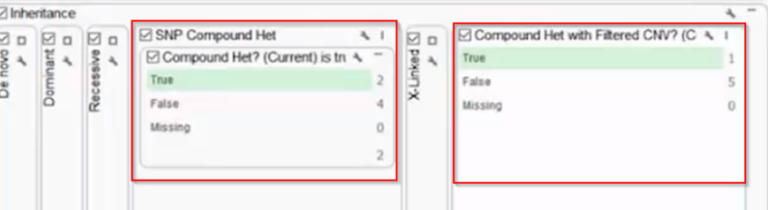 Detecting Compound Heterozygosity Between SNPs and CNVs