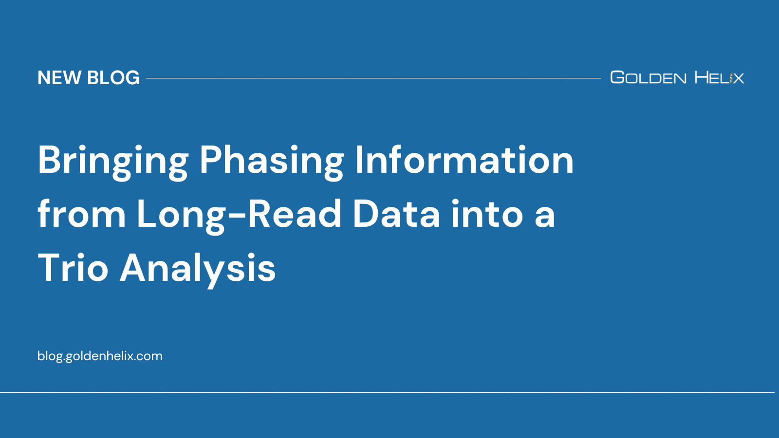 Bringing Phasing Info From Long-Read Data Into A Trio Analysis