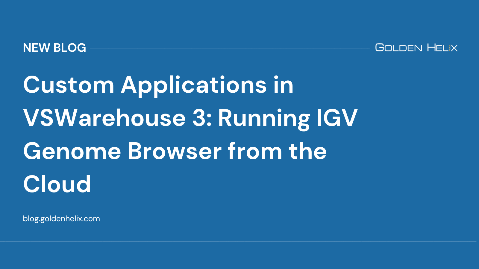 Custom Applications in VSWarehouse 3